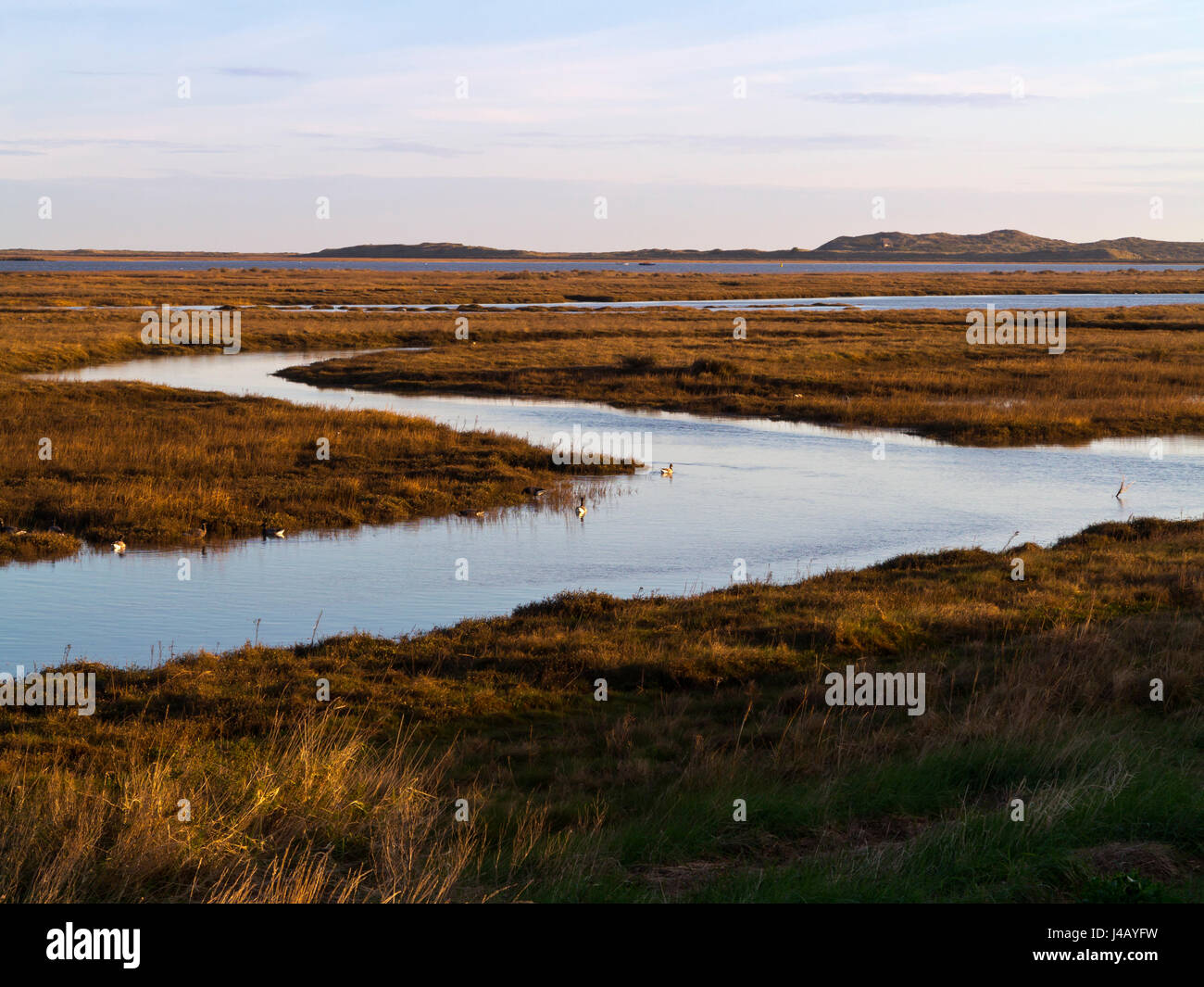 The coastline and saltmarshes at Burnham Deepdale on the North Norfolk ...