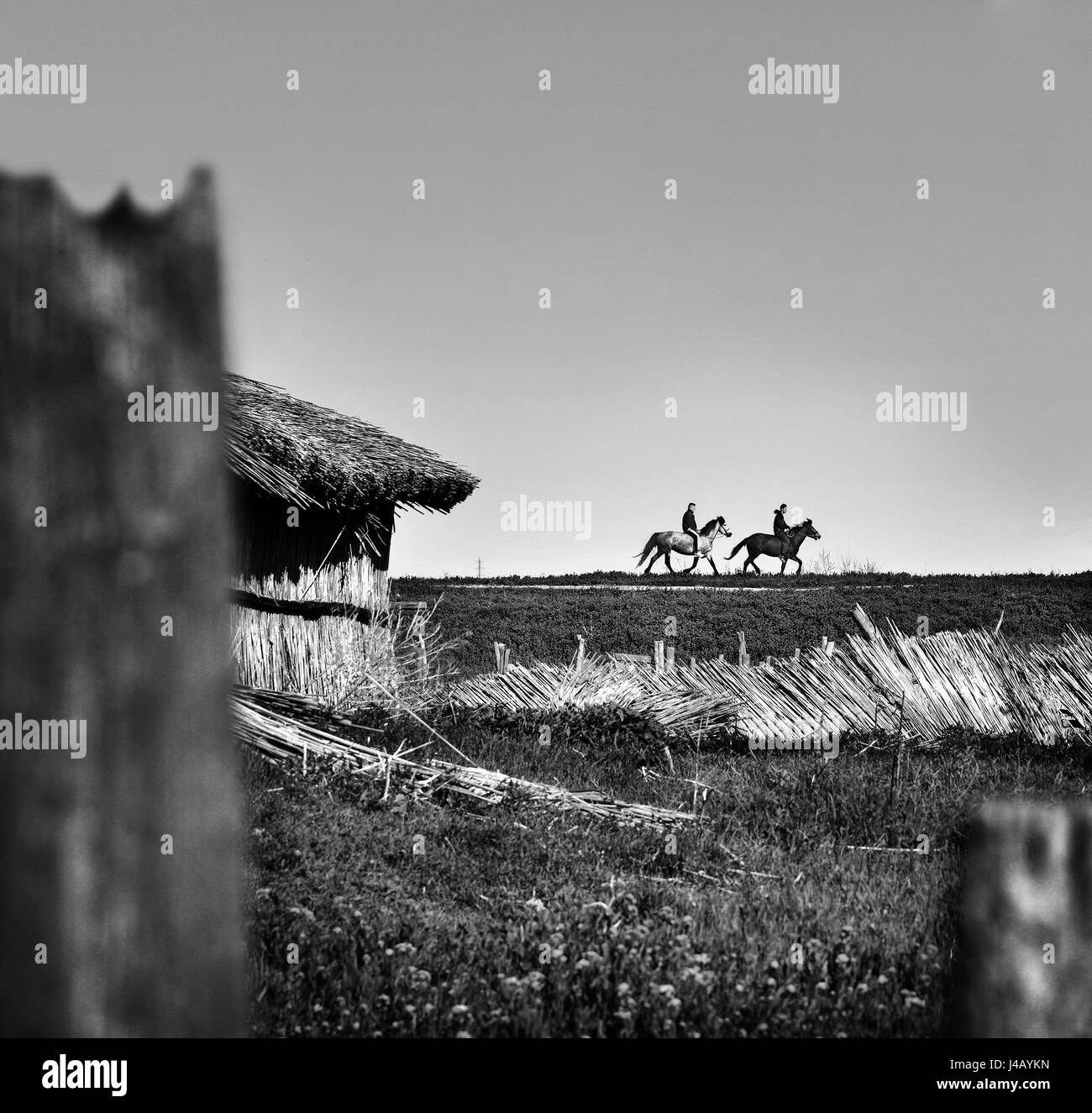 Looking through the fence at Romanian tradition Mila 23, Danube Delta ...