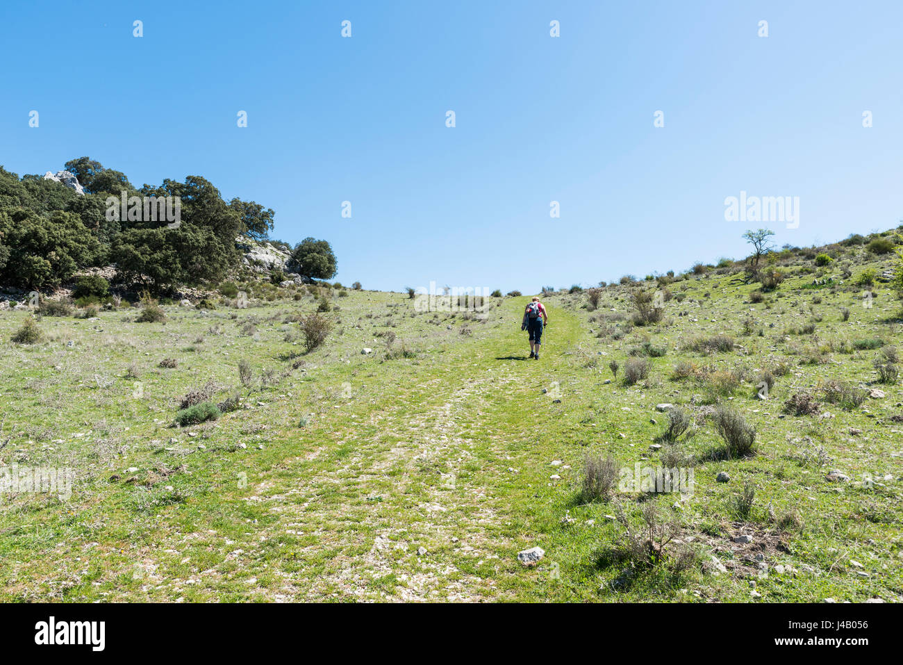 A mature woman busy on a mountain walk with backpack in the spanish ...