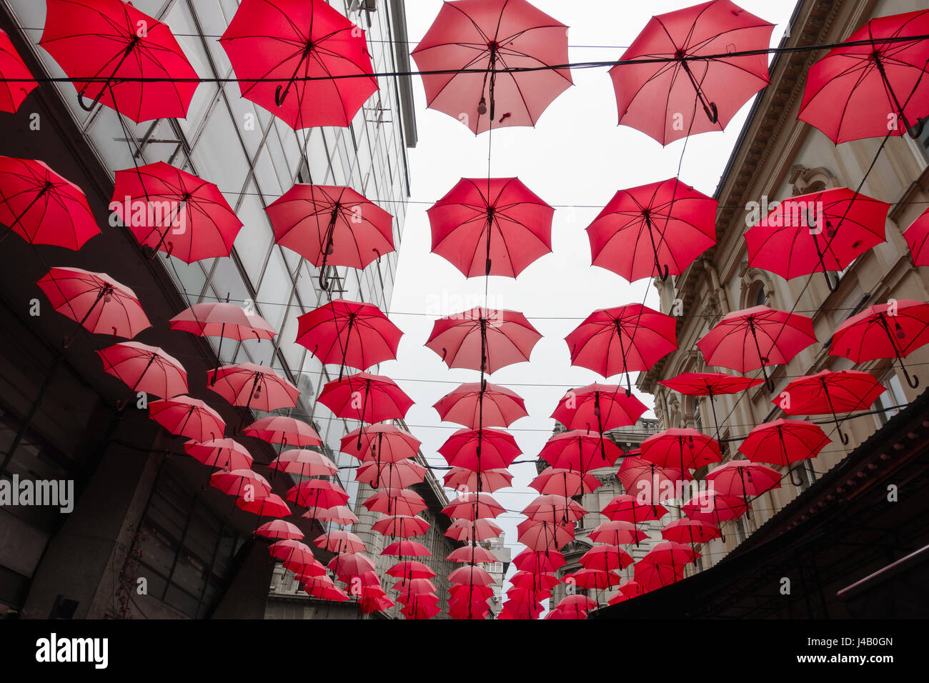 Many green umbrellas hi-res stock photography and images - Alamy