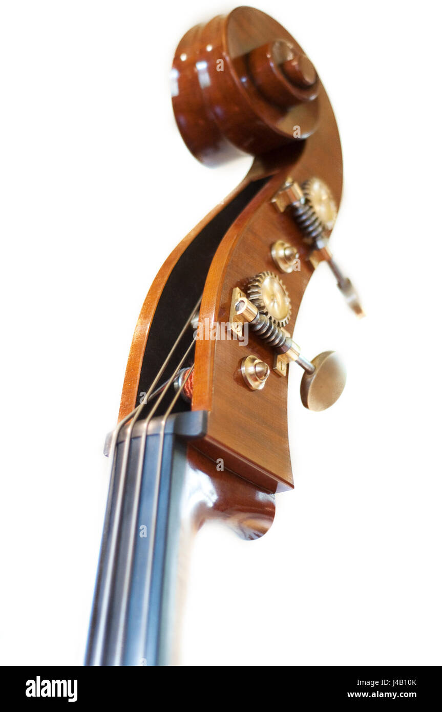 Bass close up close hi-res stock photography and images - Alamy