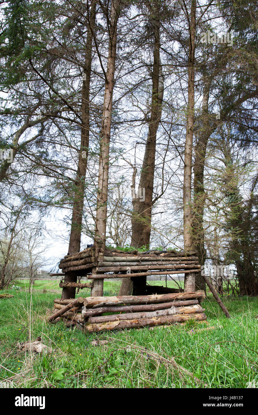 Home made bird hide in the woods Stock Photo - Alamy