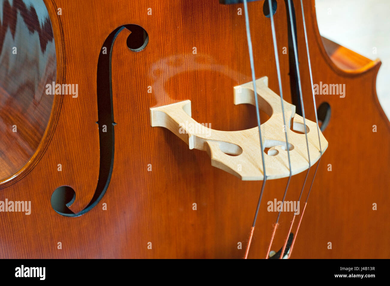 Bass close up close hi-res stock photography and images - Alamy