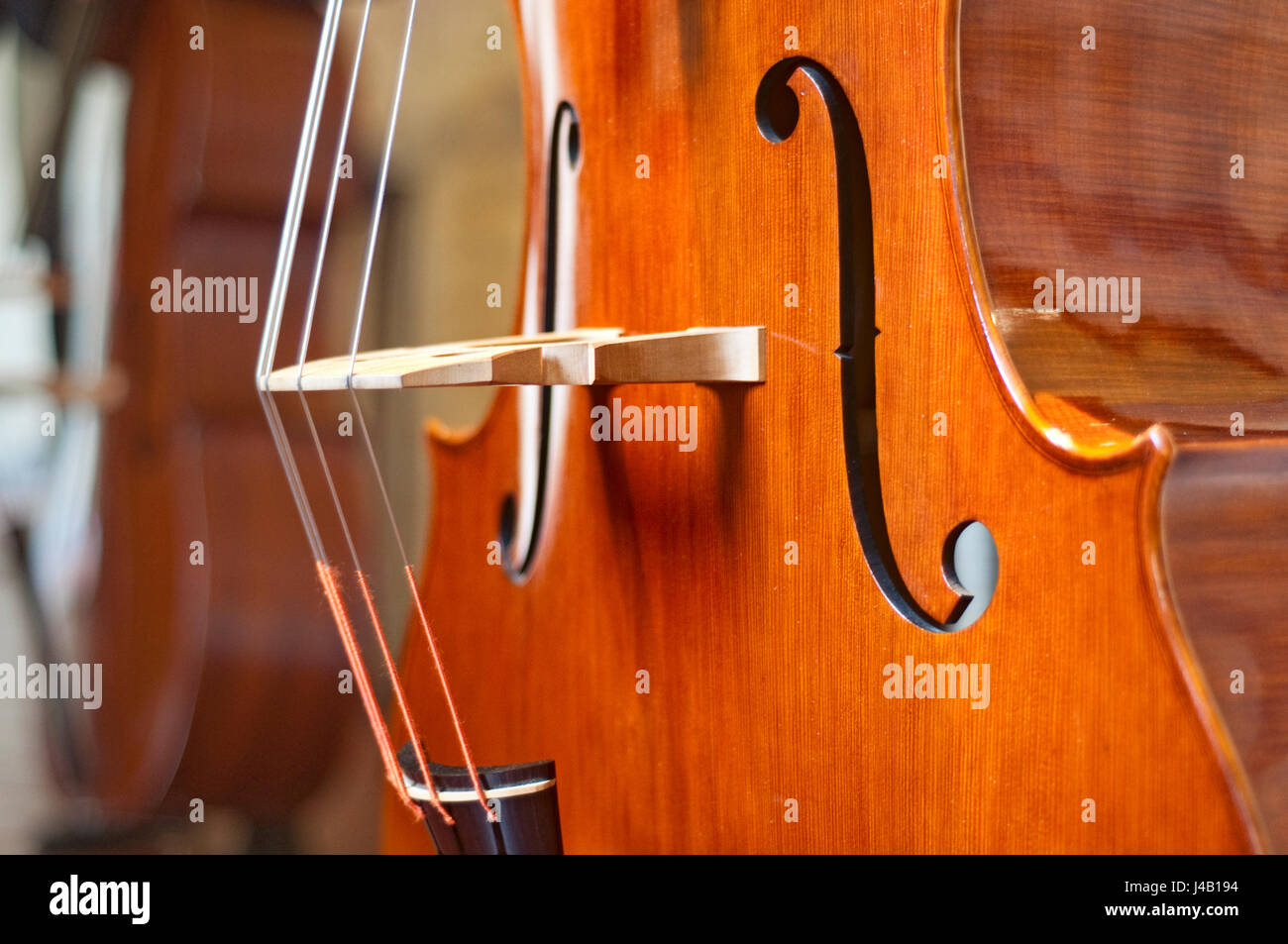 Bass instrument hi-res stock photography and images - Alamy