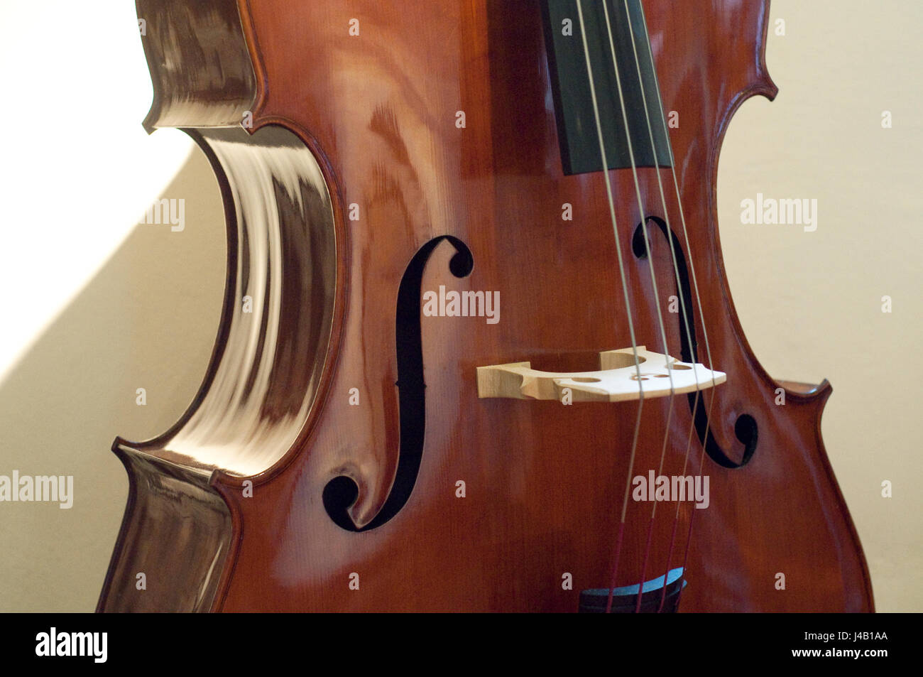 Close-up of Double Bass, Wooden Musical Instrument Stock Photo - Alamy