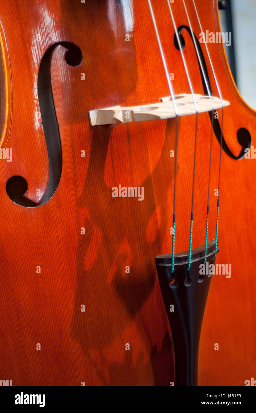 Close-up of Double Bass, Wooden Musical Instrument Stock Photo - Alamy
