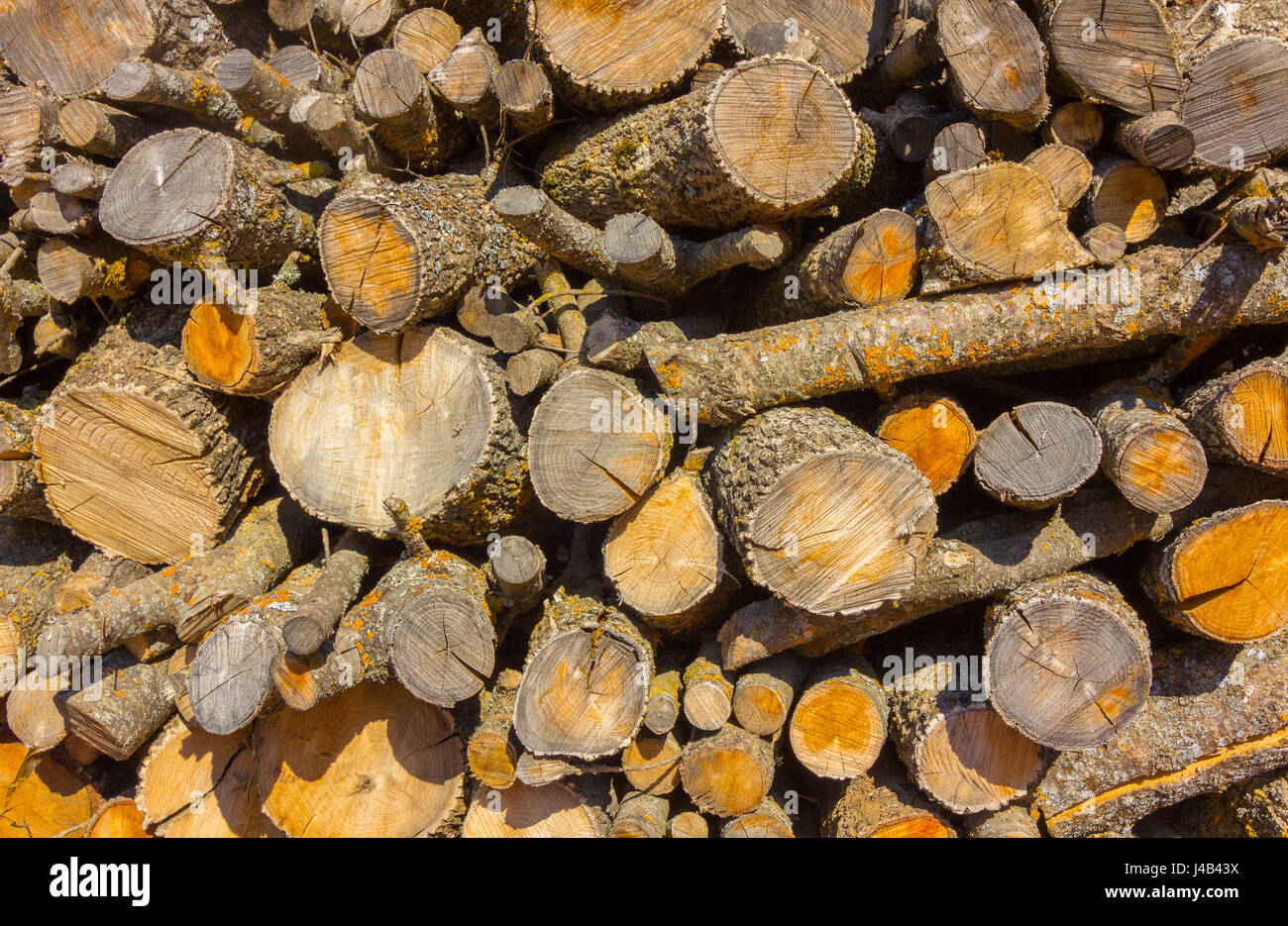 Wood log background Stock Photo - Alamy