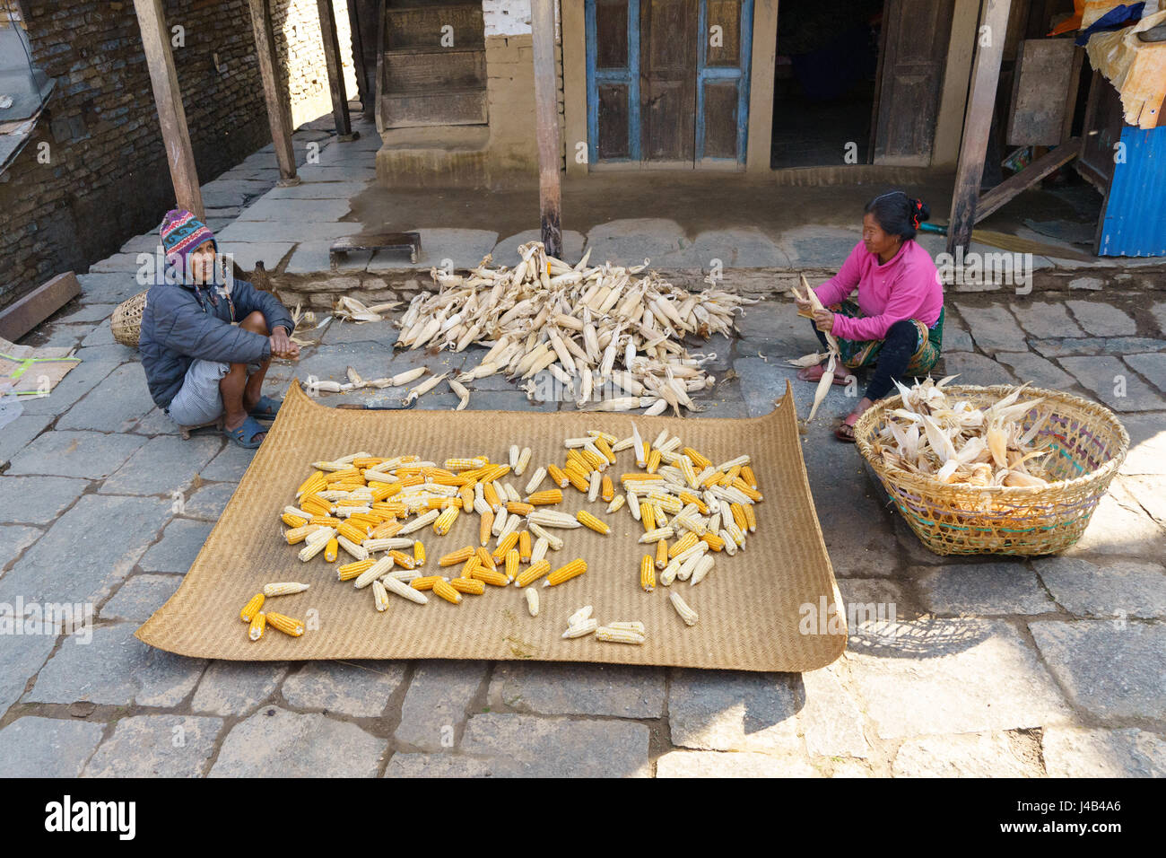 Corn Husking High Resolution Stock Photography and Images - Alamy