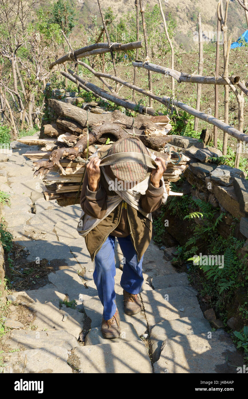 Man carrying heavy load hi-res stock photography and images - Alamy