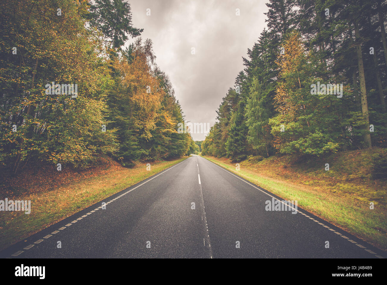 Highway with colorful trees by the road in autumn Stock Photo - Alamy