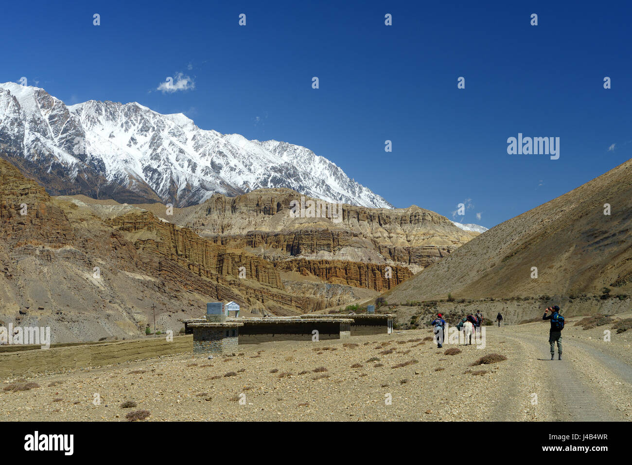 Trekkers and horseman approaching Tangbe apple farm, Upper Mustang ...