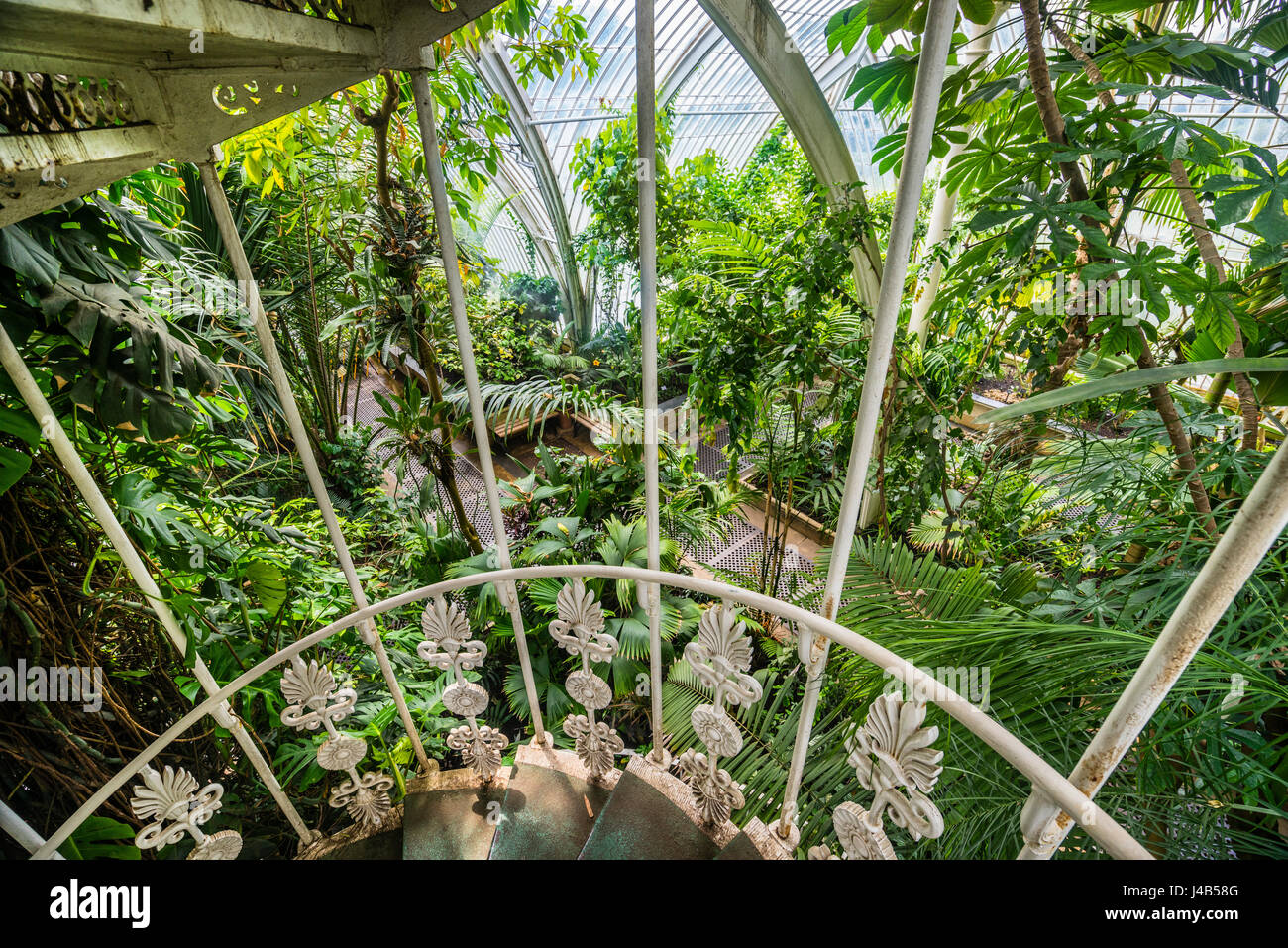 United Kingdom, England, Kew Gardens in the London Borough of Richmond ...