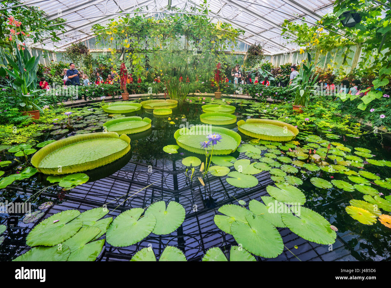Kew gardens hi-res stock photography and images - Alamy
