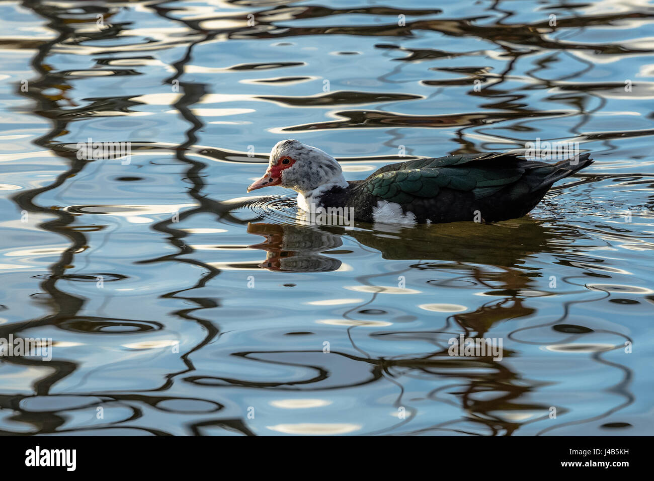 Lake District In Spring Stock Photos & Lake District In Spring Stock ...