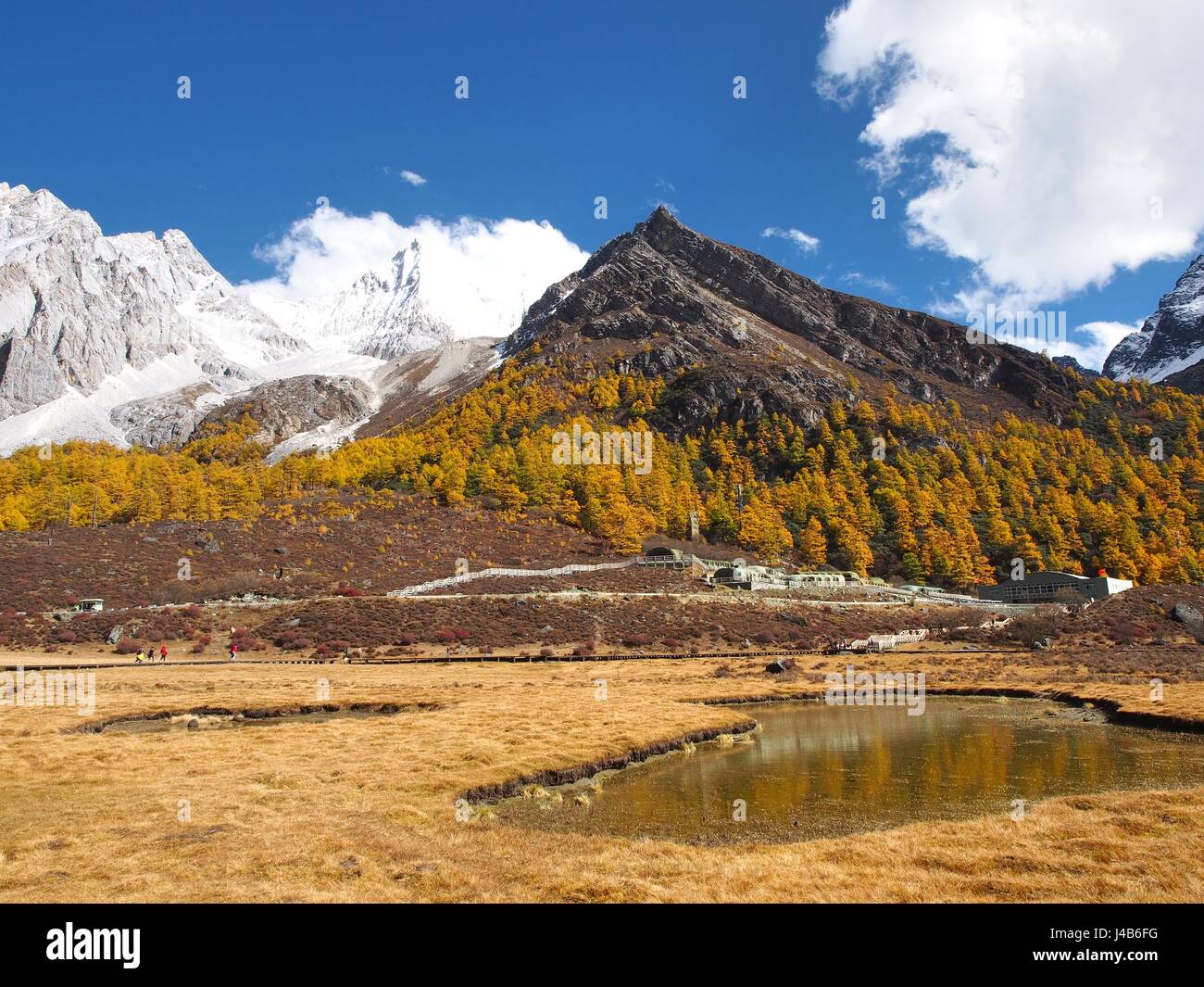 The Autumn at Yading Nature Reserve in Daocheng County ,China Stock ...