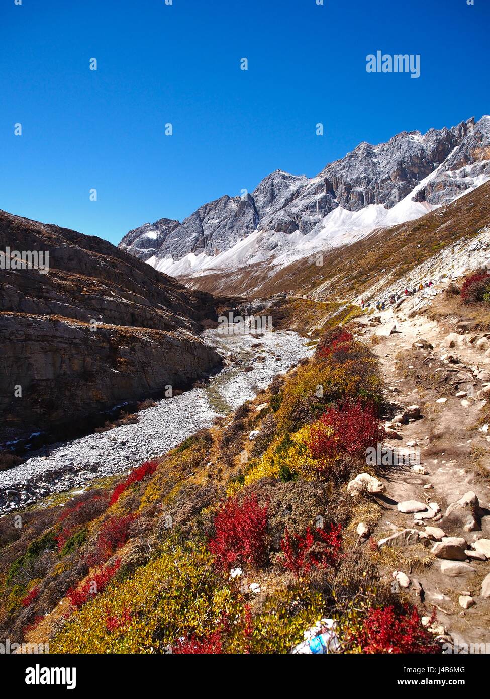 The Autumn at Yading Nature Reserve in Daocheng County ,China Stock ...