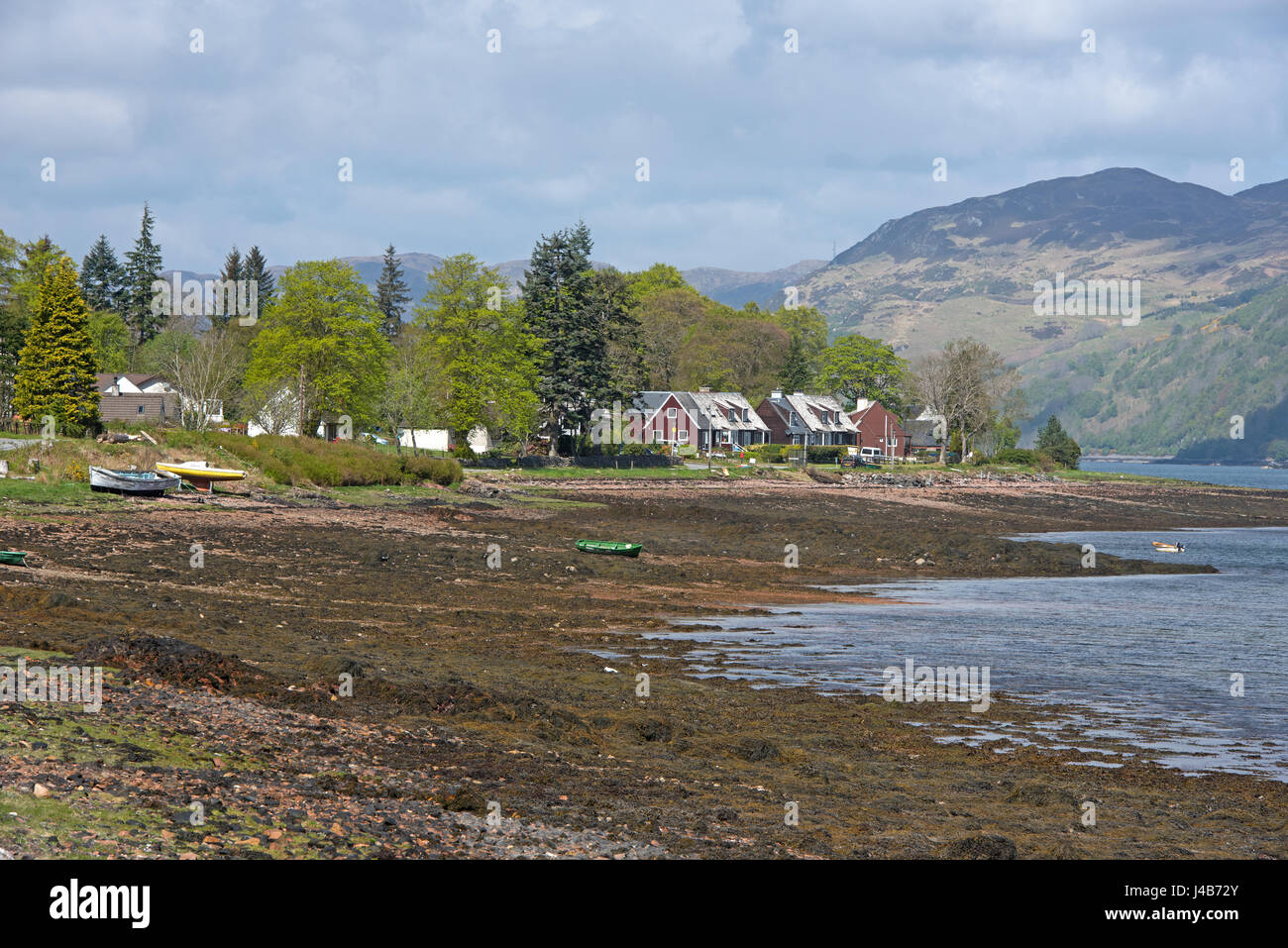 Stell hi-res stock photography and images - Alamy