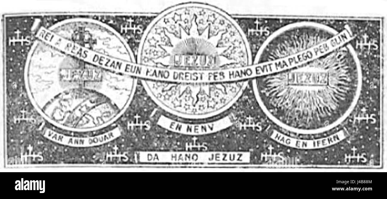 Young perrot hi-res stock photography and images - Alamy