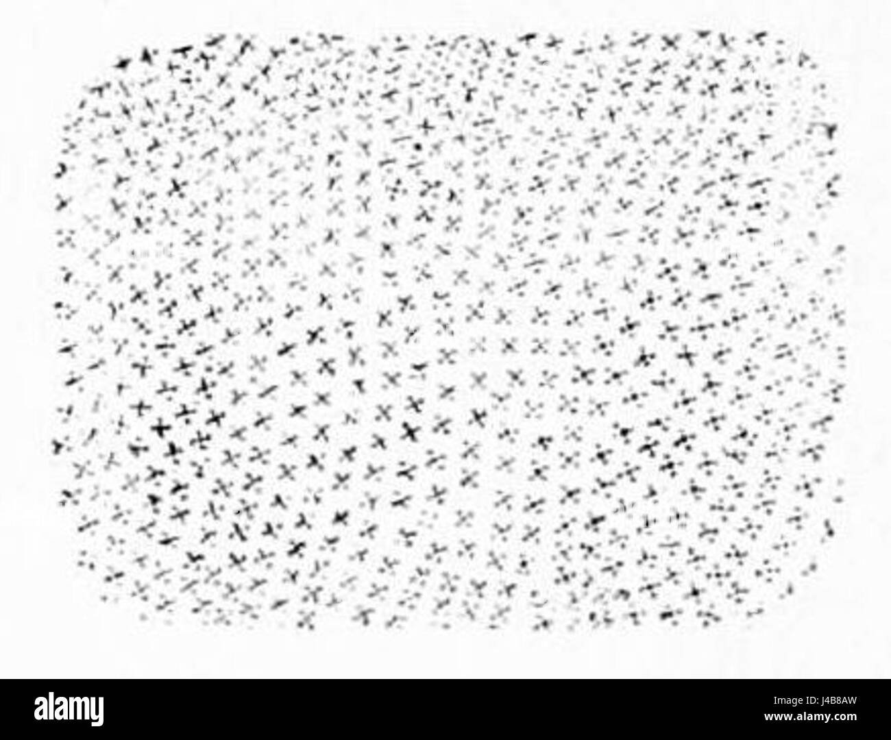 Stipple technique hi-res stock photography and images - Alamy