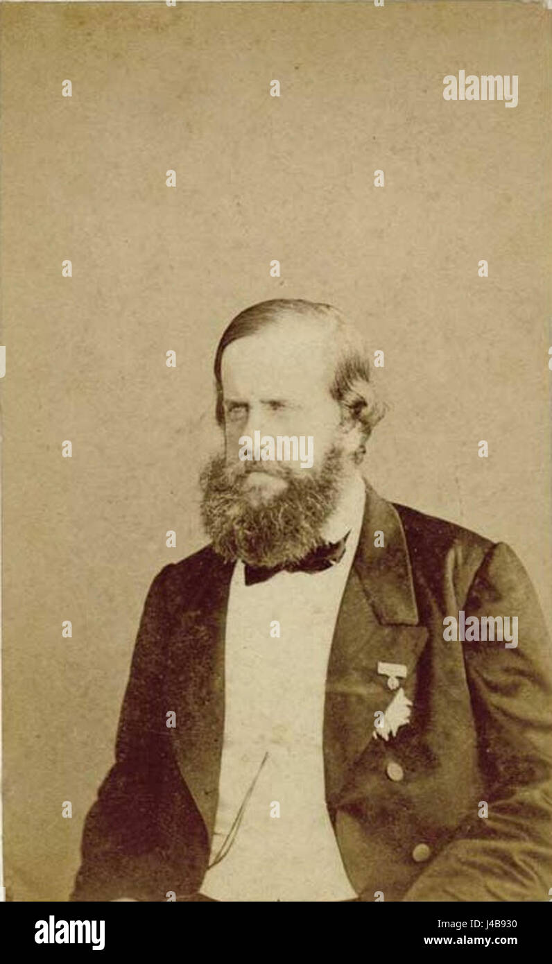 This portrait of Pedro II of Brazil by Insley Pacheco, painted in 1865 ...