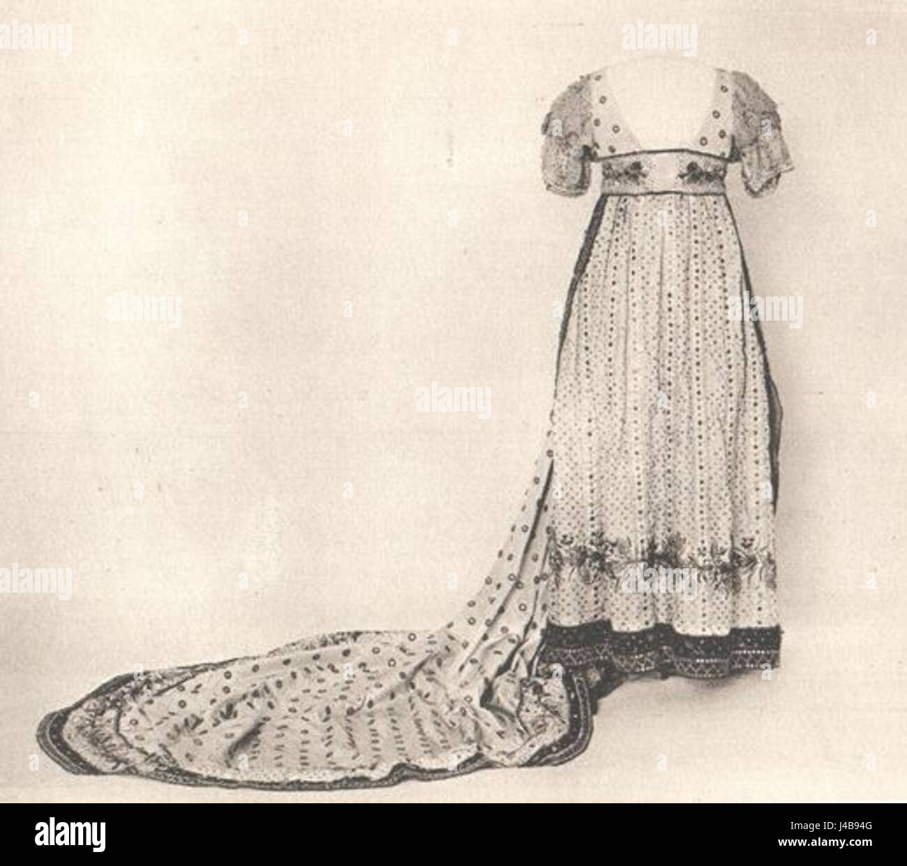 Sophia albertina hi-res stock photography and images - Alamy