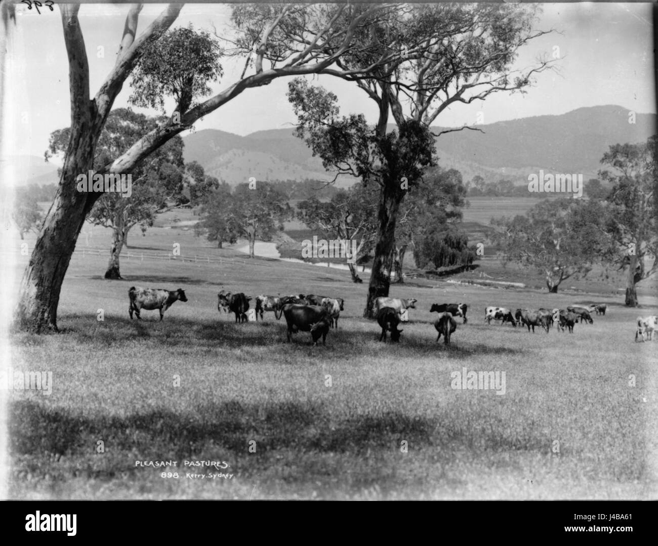 Pleasant pastures from The Powerhouse Museum Collection Stock Photo - Alamy