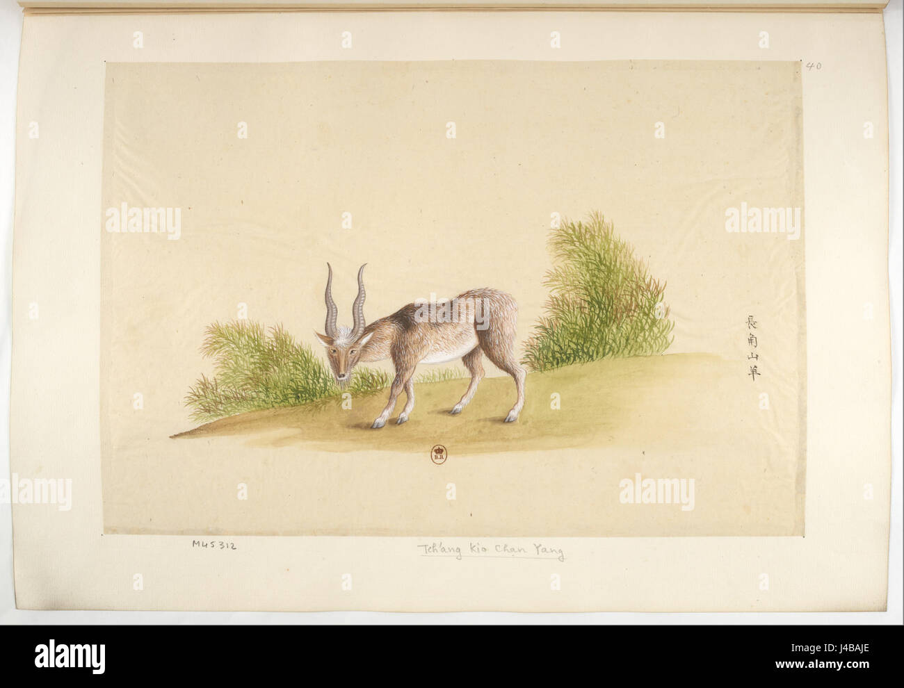 This is a collection ('Recueil') of illustrations or descriptions of ...