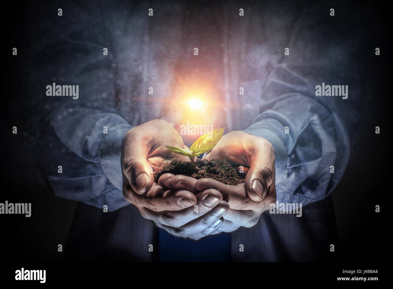 The birth of new life Stock Photo - Alamy