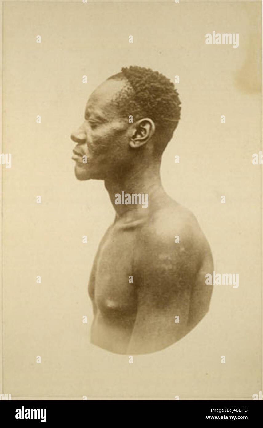 Richard Buchta Portrait of a Baka man Stock Photo - Alamy