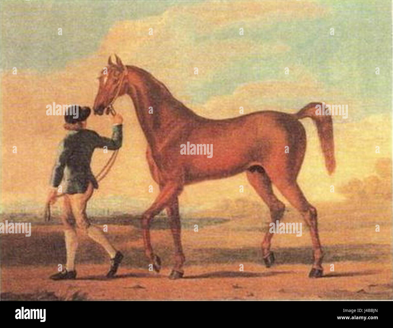 Richard roper hi-res stock photography and images - Alamy