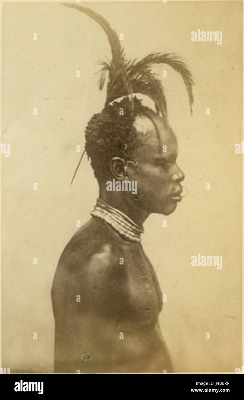 Richard Buchta High Resolution Stock Photography and Images - Alamy