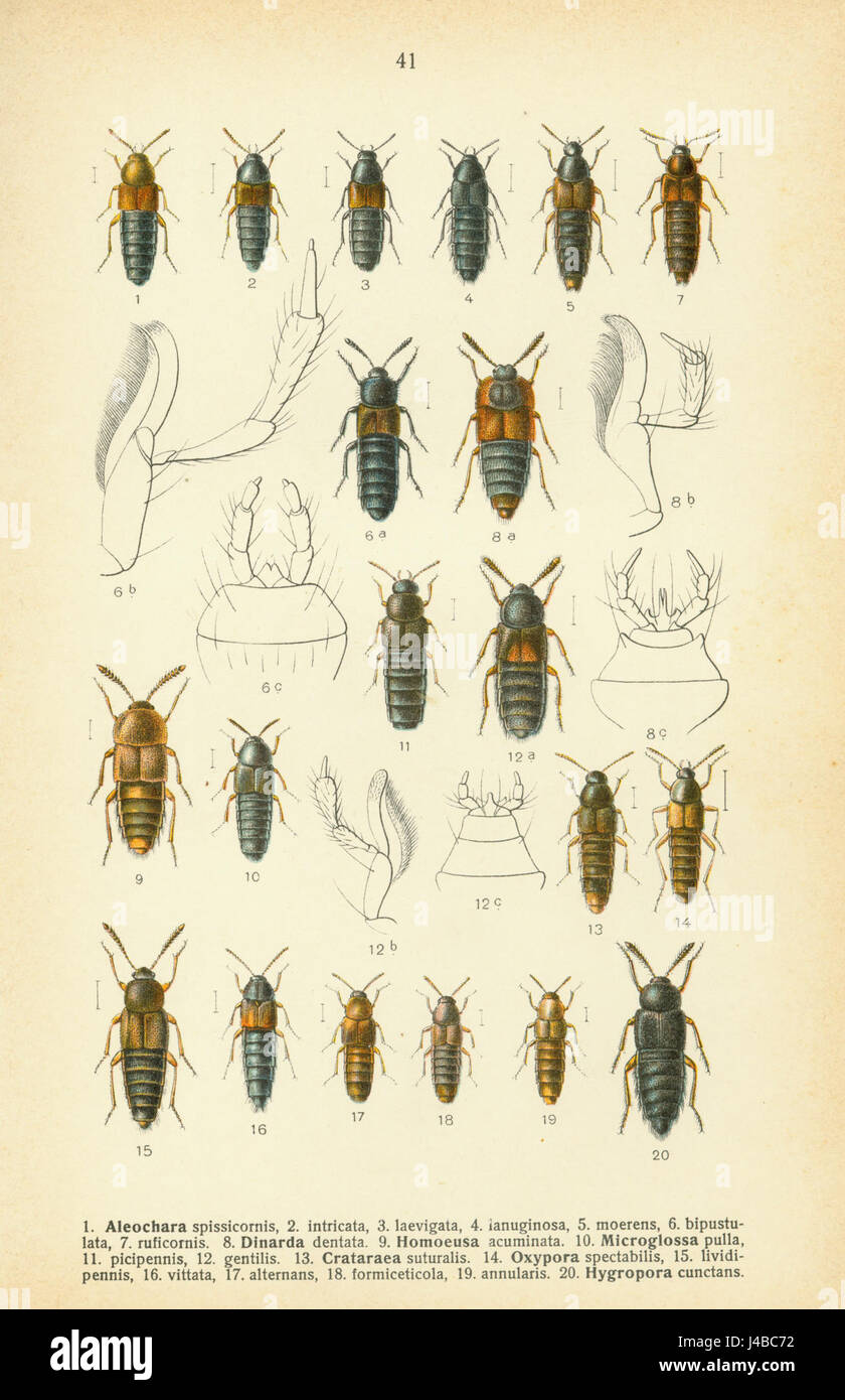 The 1908 Reitter table, a historical document, provides detailed ...