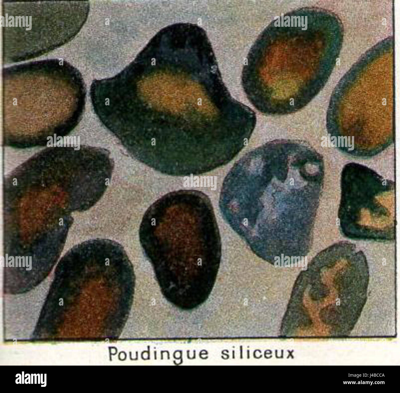 Roche poudingue siliceux is a French geological term referring to a ...