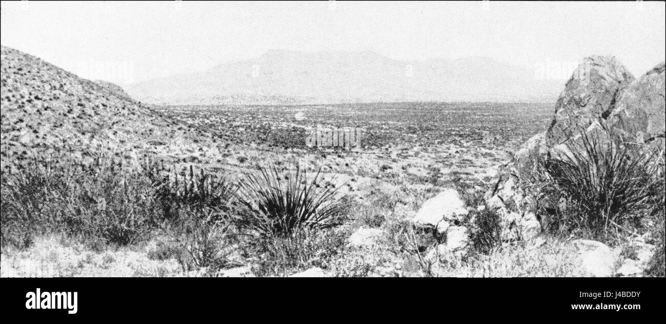 The image shows a typical scene in the arid Trans-Pecos region of Texas ...