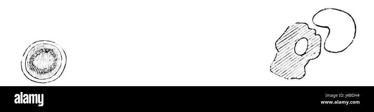 All clear Black and White Stock Photos & Images - Alamy