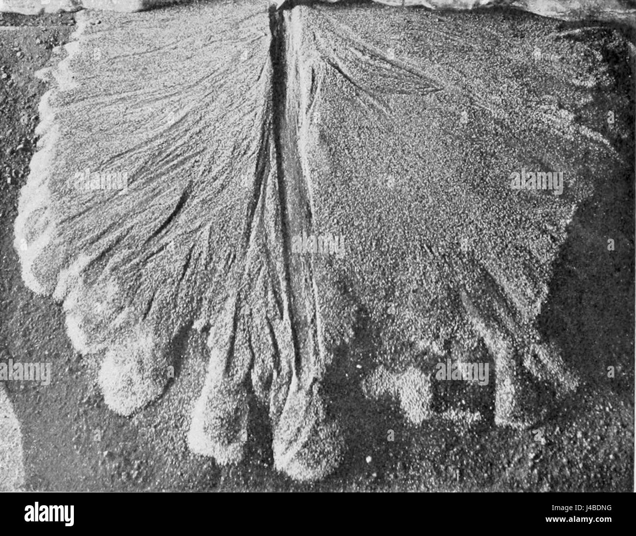 Environmental impact report Black and White Stock Photos & Images - Alamy