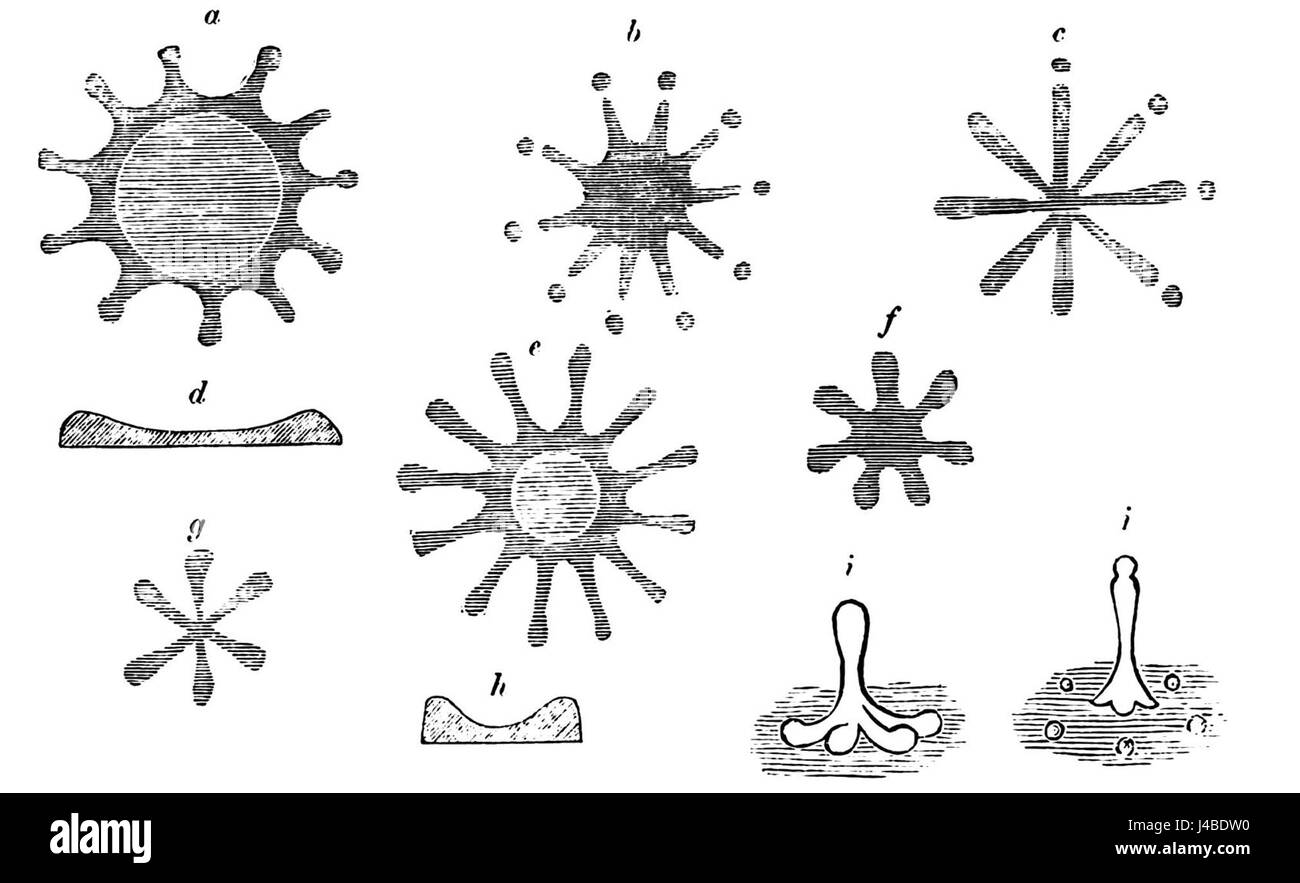 Study of mercury Black and White Stock Photos & Images - Alamy