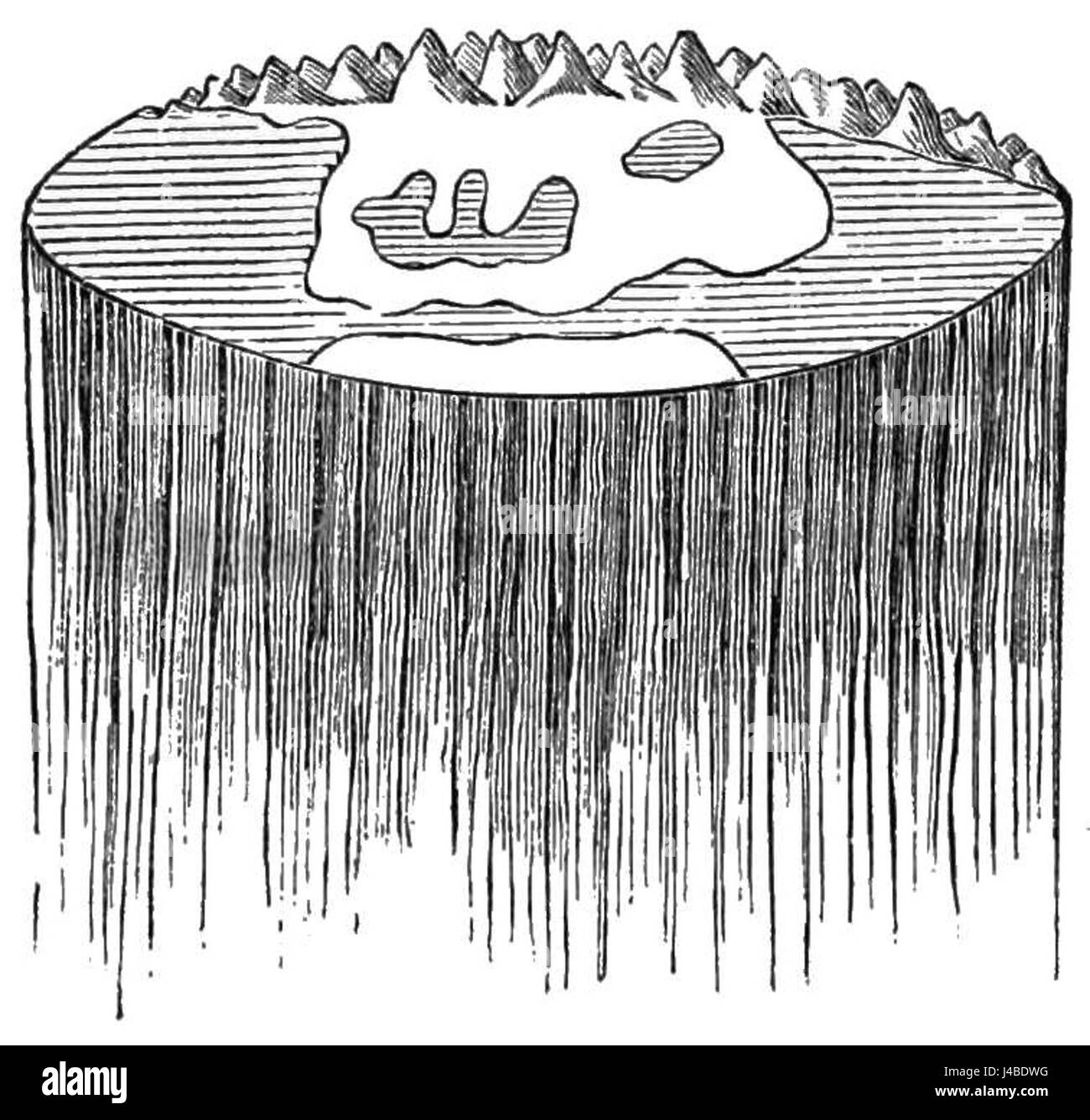 Roots map hi-res stock photography and images - Alamy