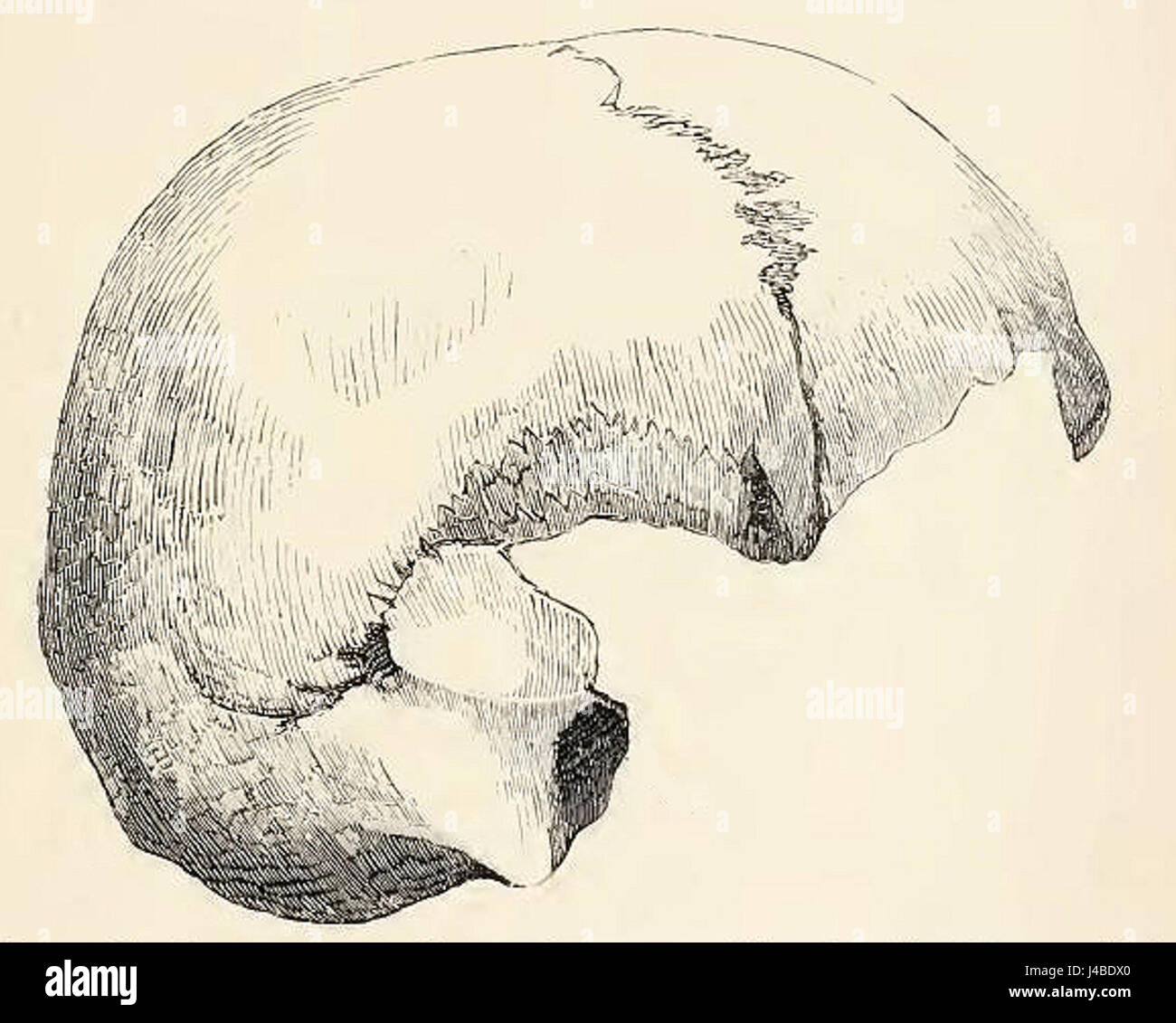 Engis 2 hi-res stock photography and images - Alamy