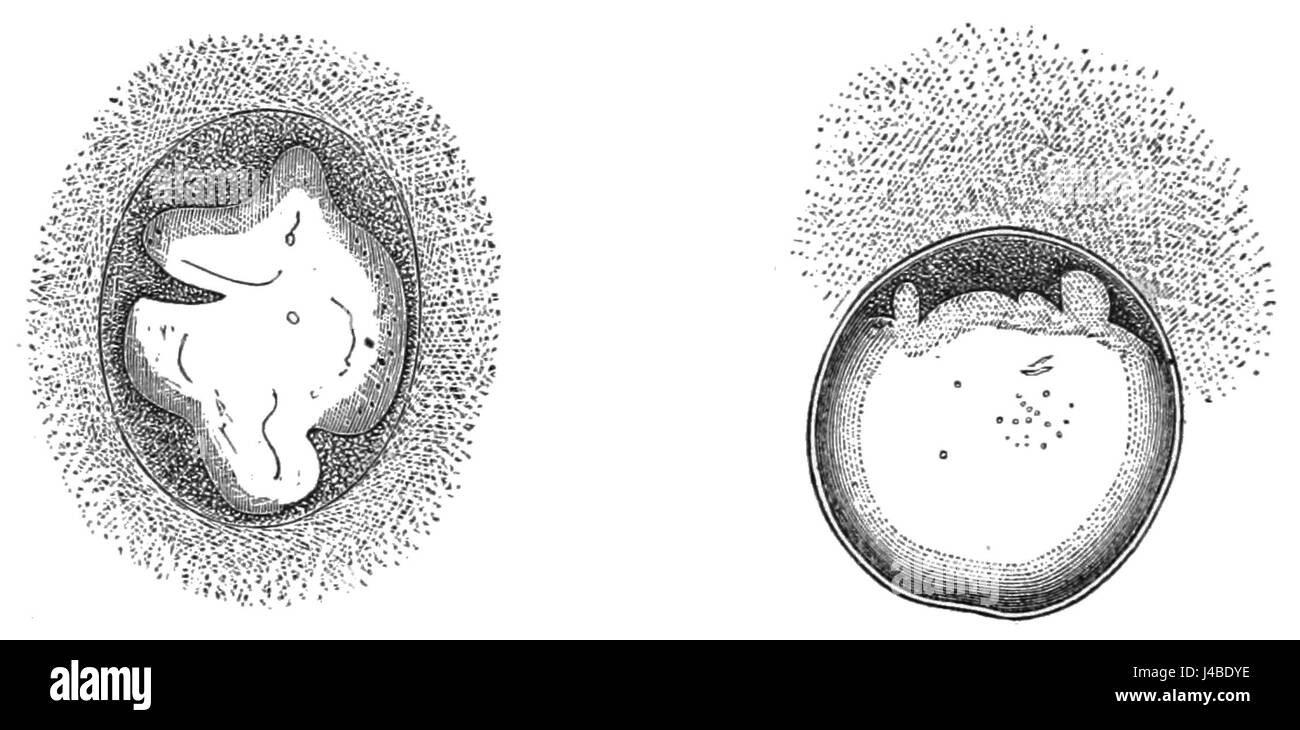 Image depicts different forms hi-res stock photography and images - Alamy