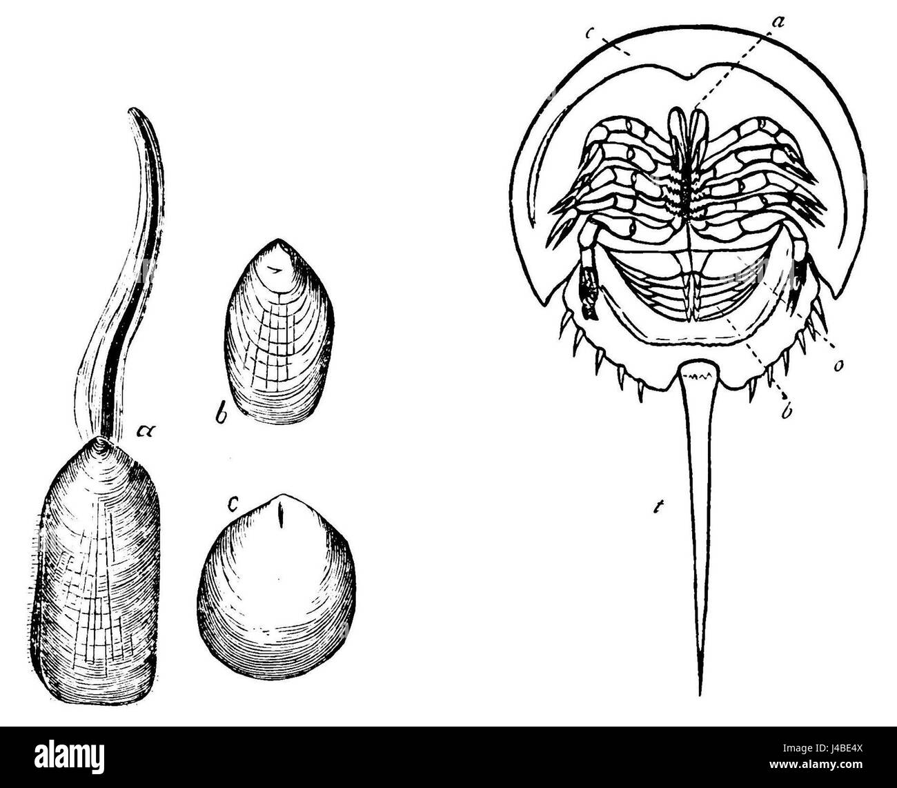 Arches structure Cut Out Stock Images & Pictures - Alamy
