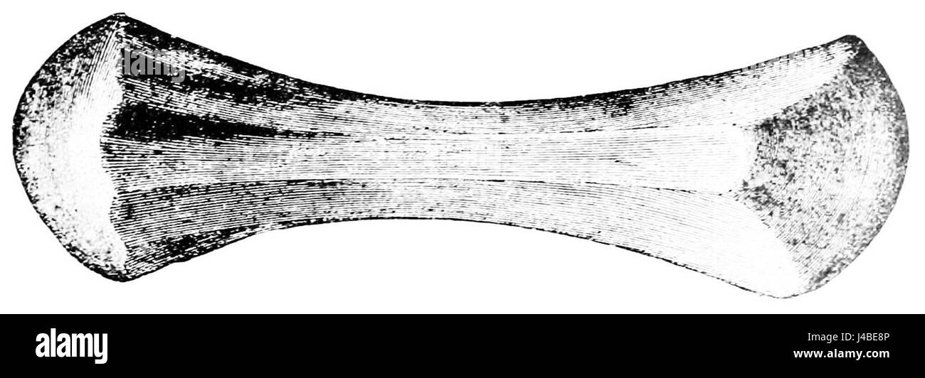 The polished grindstone, worn by extensive use, is an example of an ...