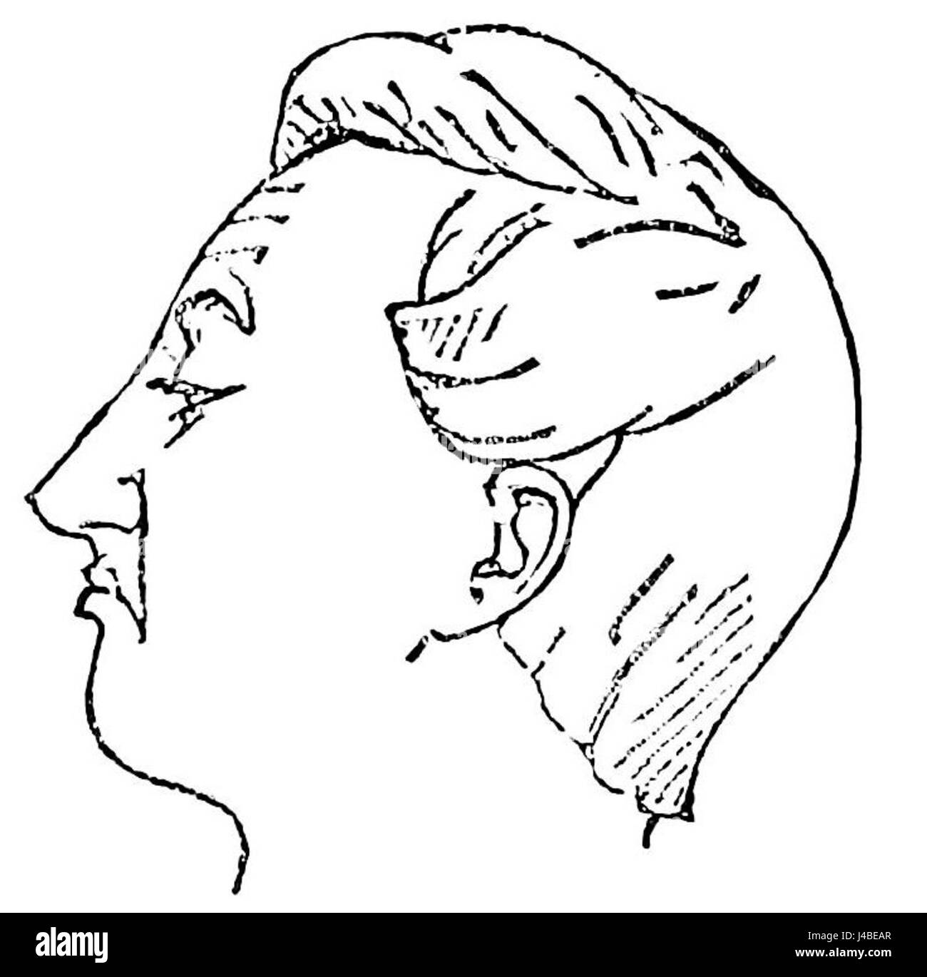 PSM V36 D704 Facial expression of contempt Stock Photo - Alamy