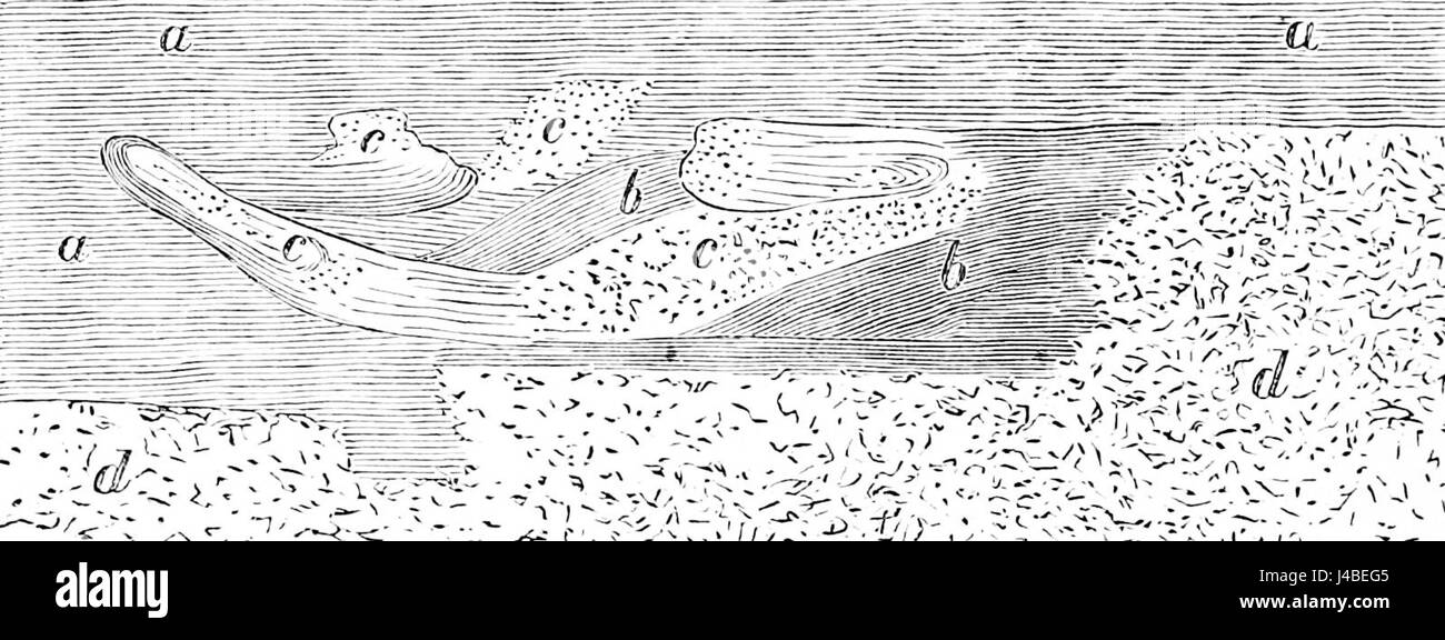 Laminated pottery hi-res stock photography and images - Alamy