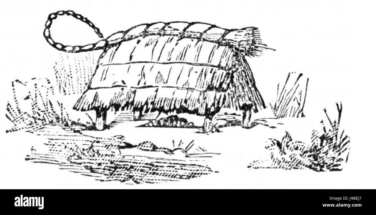 Structures complex design Cut Out Stock Images & Pictures - Alamy