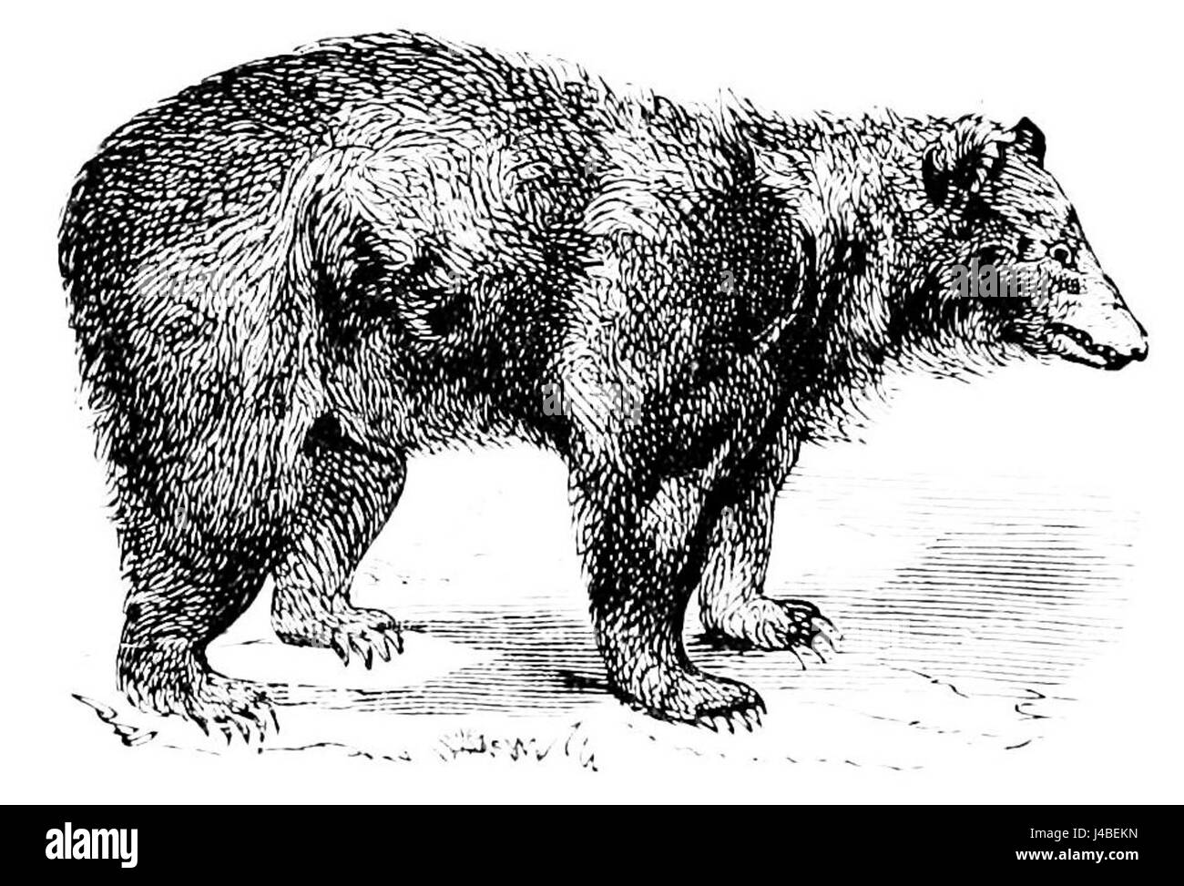 This reference likely pertains to a detailed illustration or ...