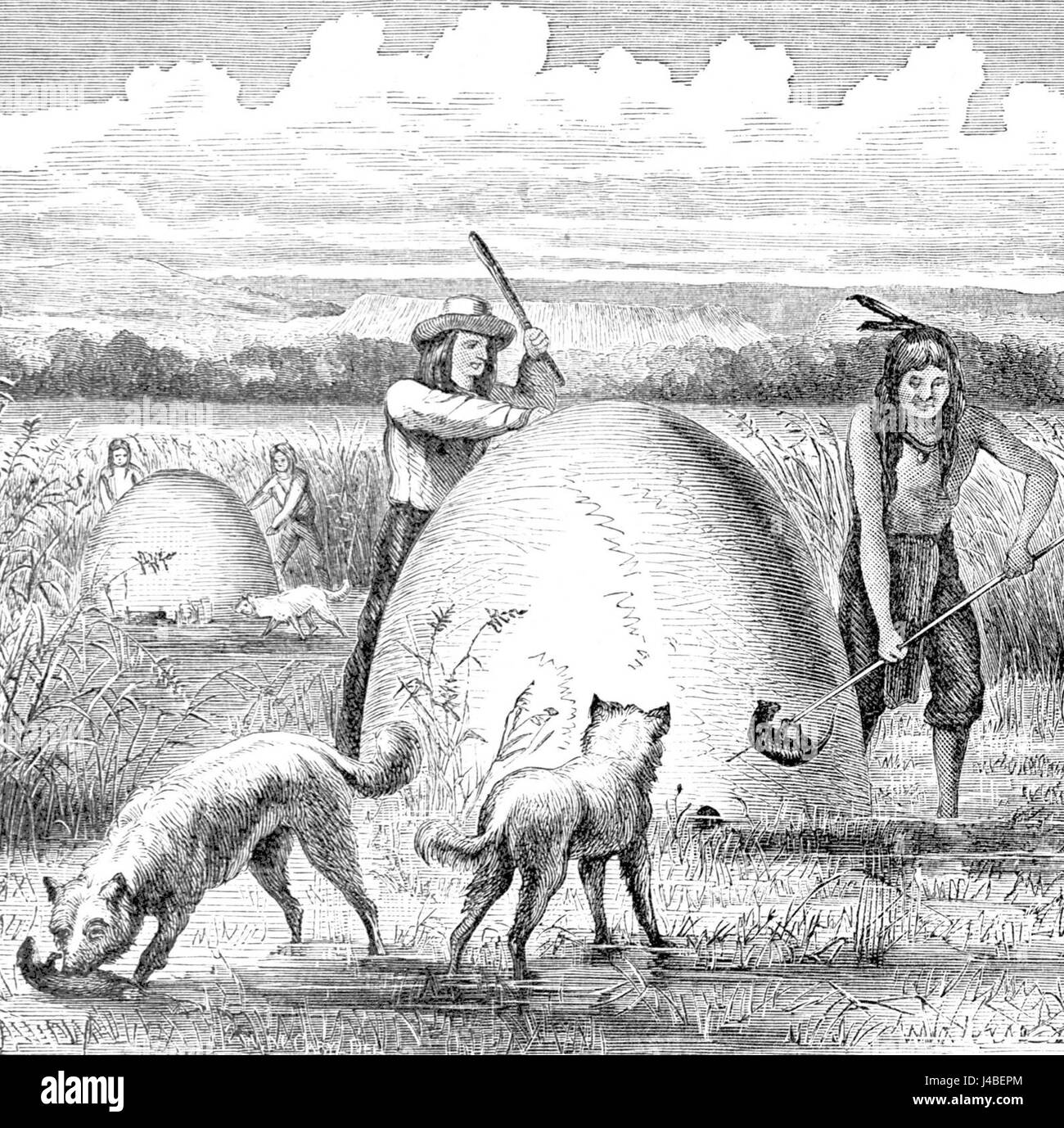 Indians of north america subsistence activities hi-res stock ...