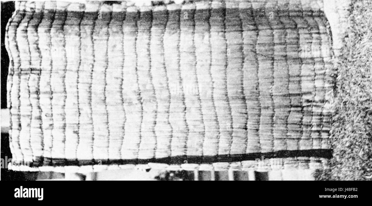 Tule Art High Resolution Stock Photography and Images - Alamy