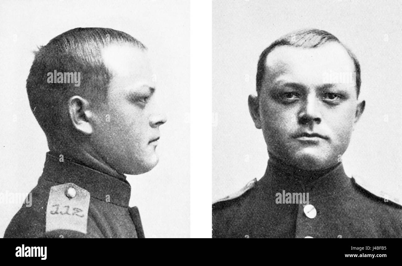 This refers to a detailed scientific study of an Alpine-type plant or ...