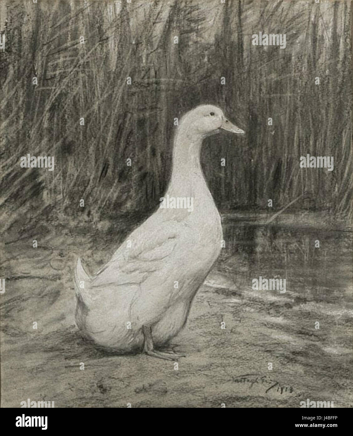 Tojo hi-res stock photography and images - Alamy